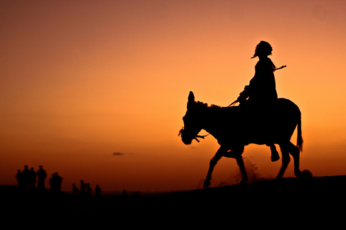 Joha and New Joha | Arabic Language Blog