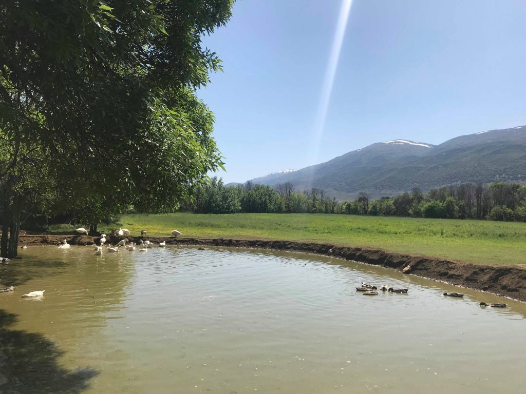 Hiking in the Ammiq Valley | Arabic Language Blog