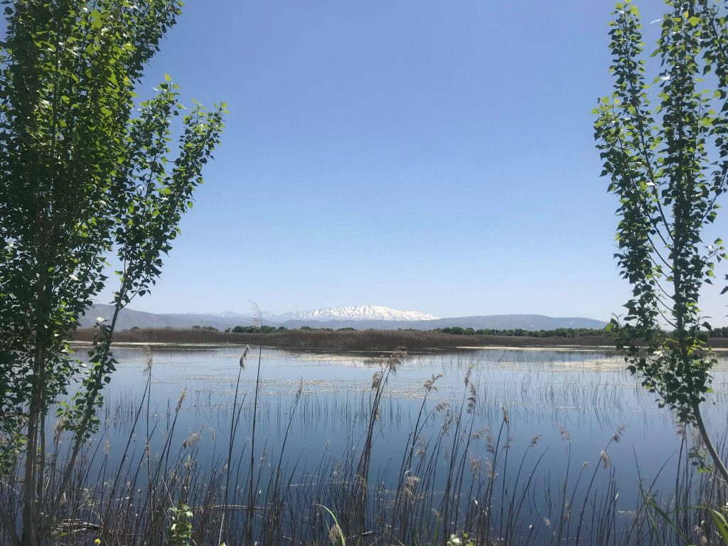 Hiking in the Ammiq Valley | Arabic Language Blog