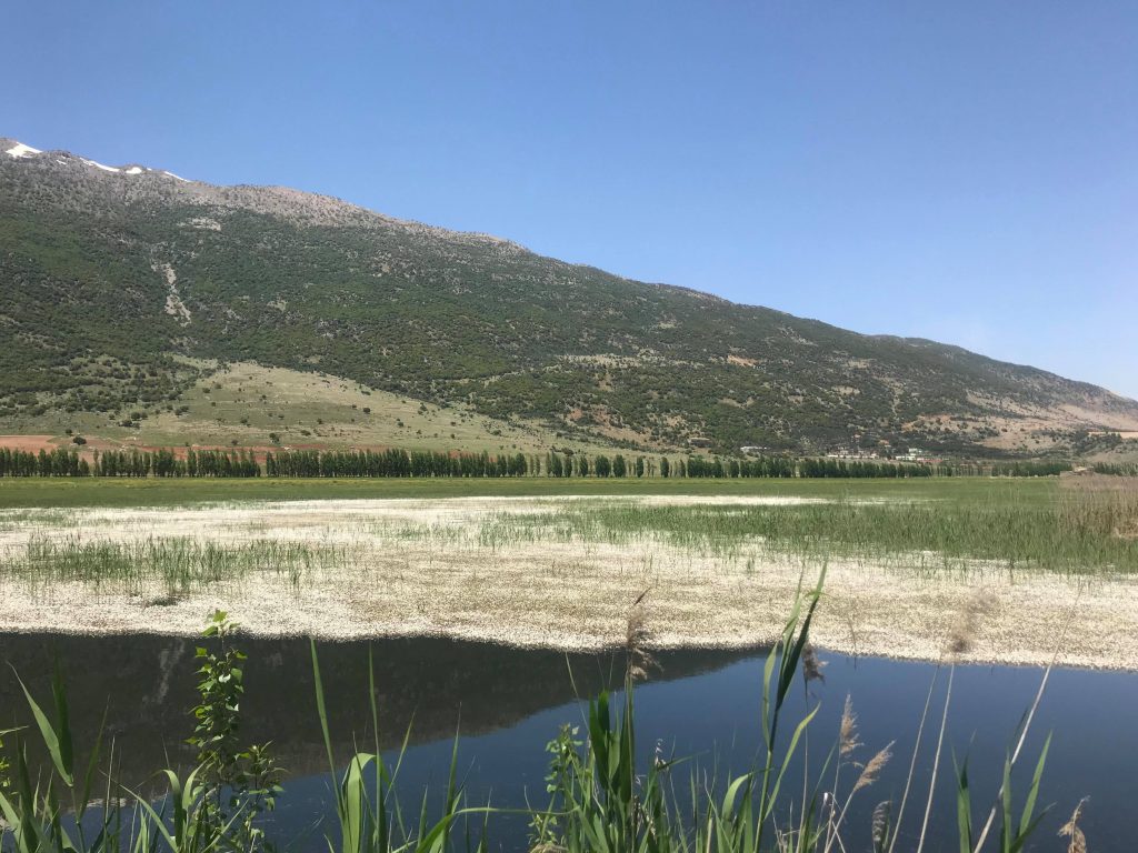 Hiking in the Ammiq Valley | Arabic Language Blog