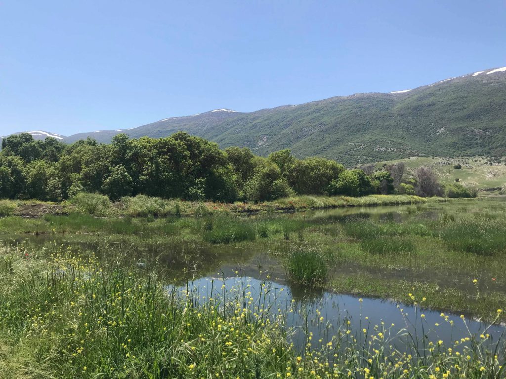Hiking in the Ammiq Valley | Arabic Language Blog