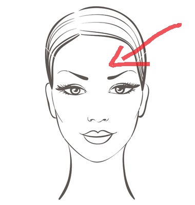 The Anatomy of the Face | Arabic Language Blog
