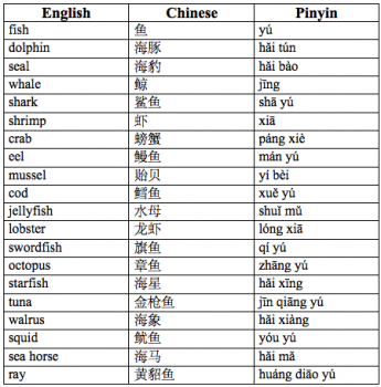 Easy Chinese - 20 Marine Animal Vocabulary Words | Chinese Language Blog