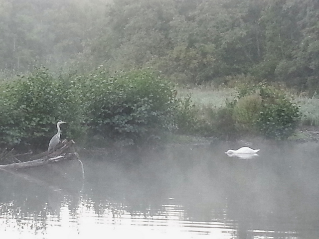 Top 6 Danish Monsters | Danish Language Blog