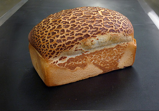 Food With Alessia: Dutch Breakfast - The Italian opinion! | Dutch ...