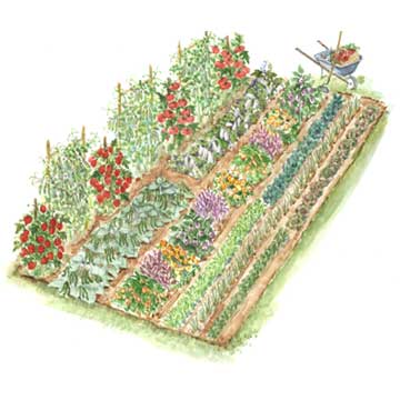 Garden Vocabulary | English Language Blog
