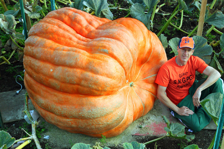 Pumpkins, pumpkins, pumpkins! | English Language Blog