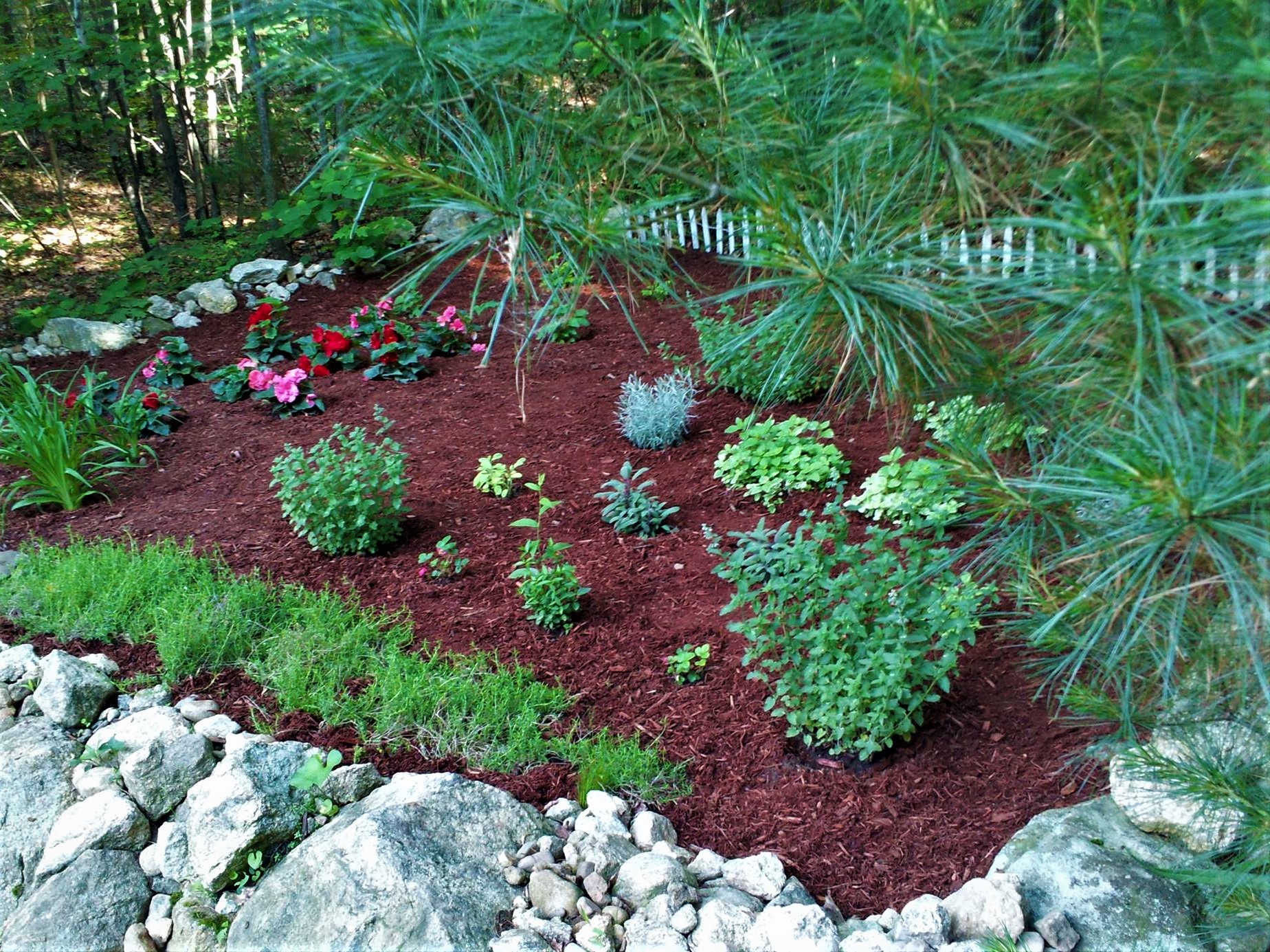 English Idioms for the Spring | English Language Blog