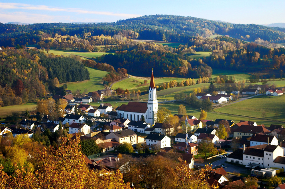 Untranslatable German Words: Waldeinsamkeit | German Language Blog ...