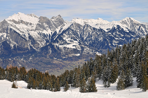 German Christmas Song: O Tannenbaum | German Language Blog | German ...
