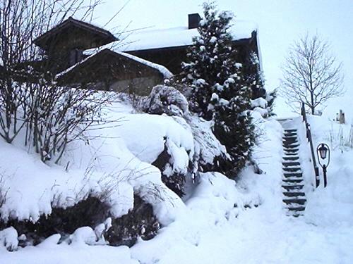 Es schneit! German Snow Vocabulary | German Language Blog