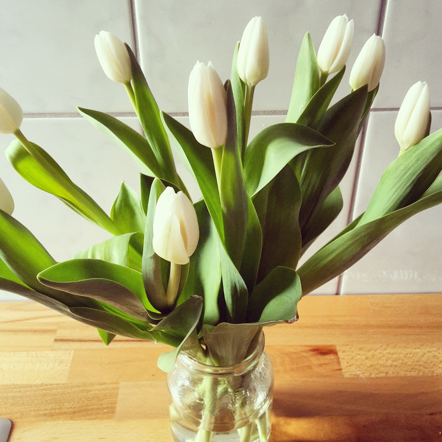 German Vocabulary for Spring | German Language Blog
