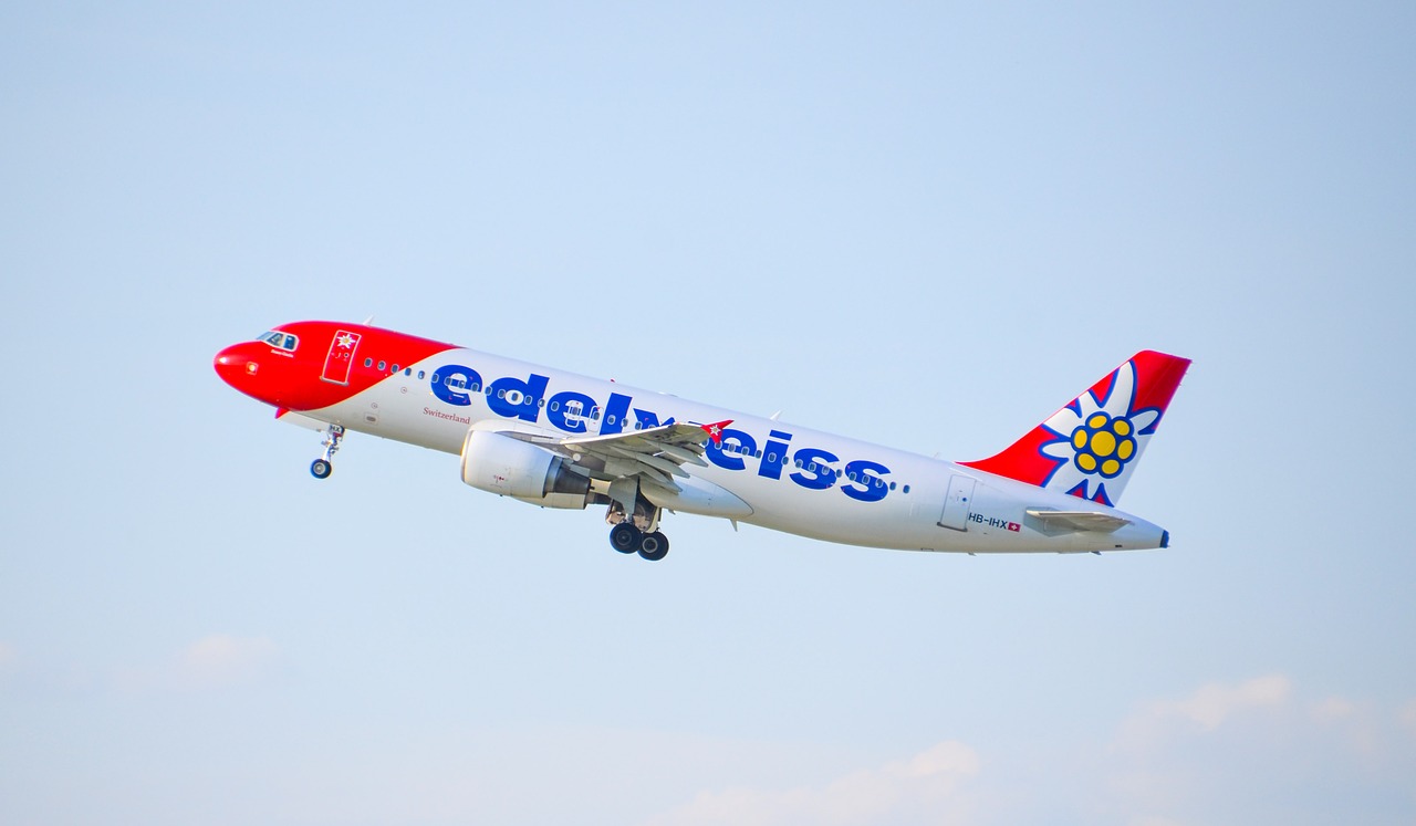 The Edelweiss And Its Meaning | German Language Blog