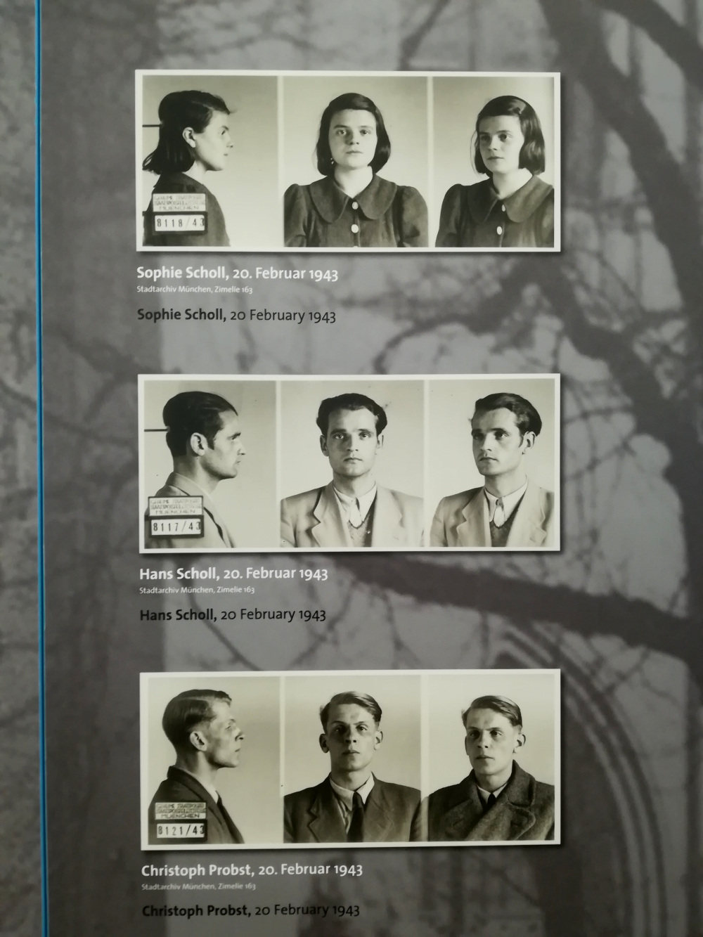 German History: The White Rose Movement | German Language Blog