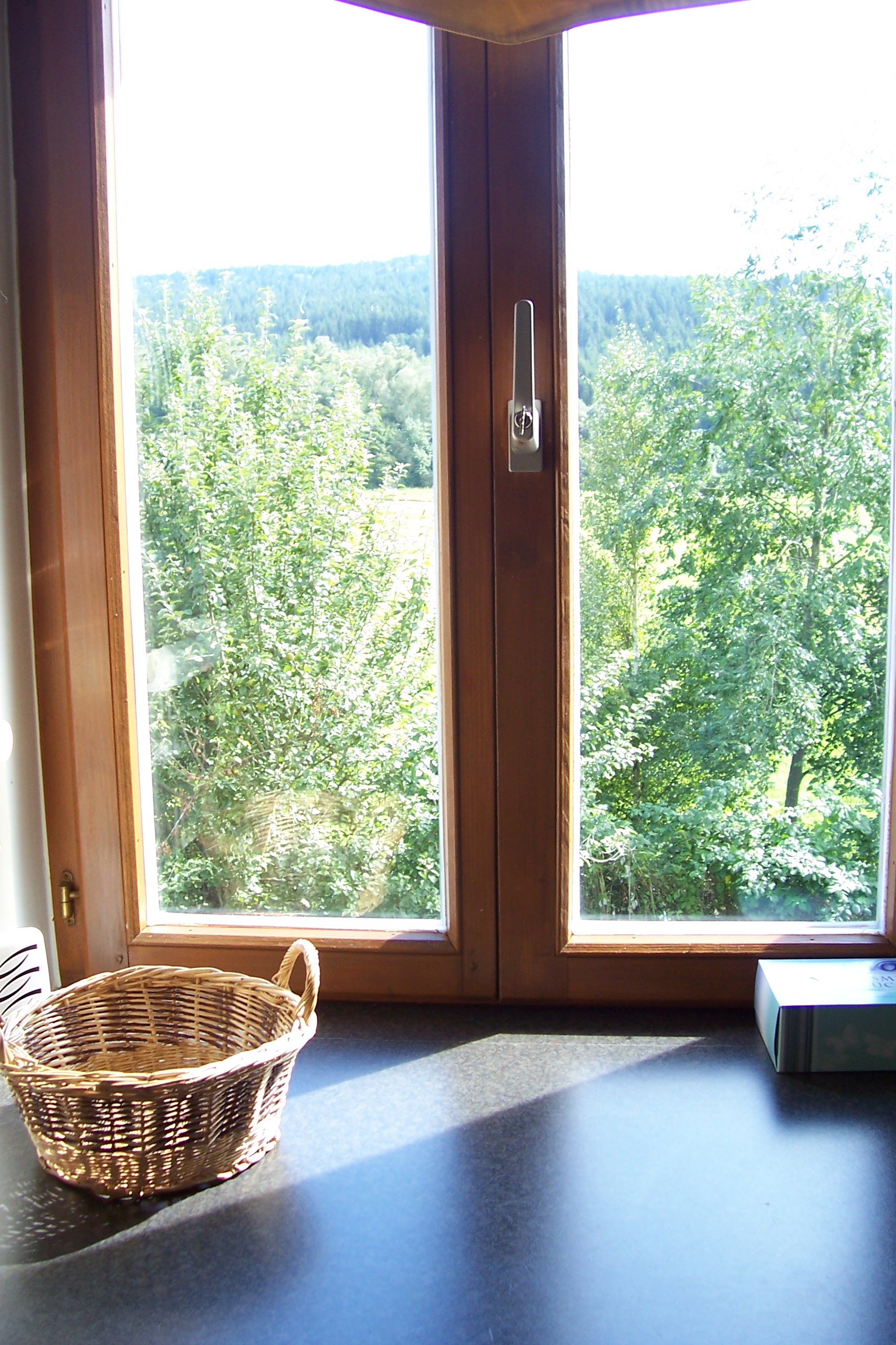 Explore A German Home | German Language Blog