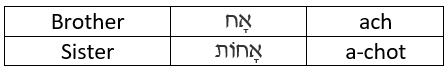 Hebrew Family Vocabulary: Part 2