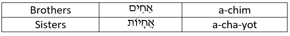 Hebrew Family Vocabulary: Part 2