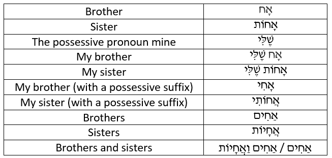 Hebrew Family Vocabulary: Part 2