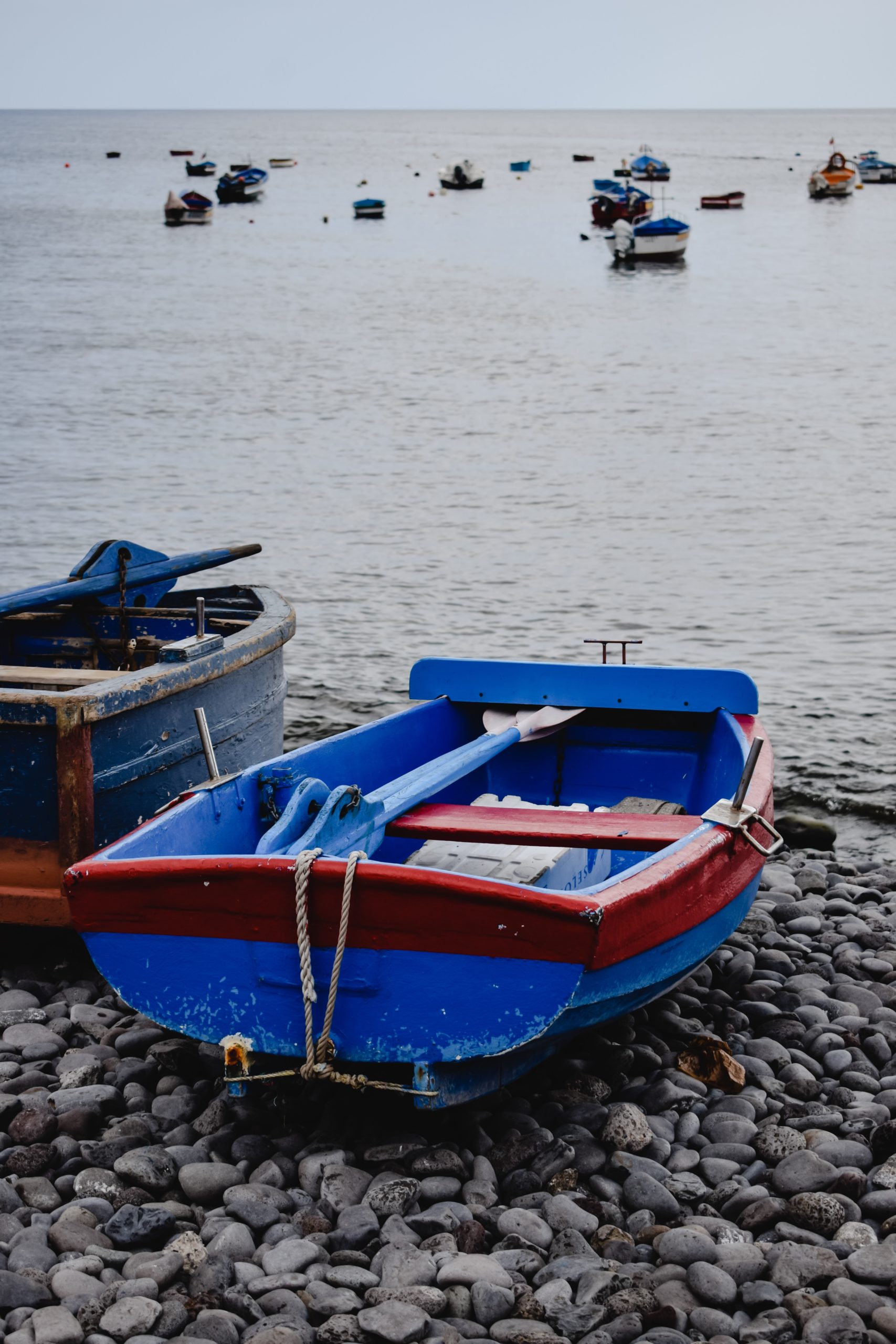 The Kolis | Hindi Language Blog