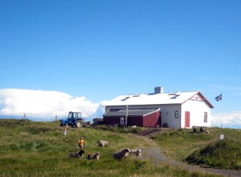Holy genitive case in Icelandic Batman! | Icelandic Language Blog