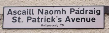 Naomh, Neamh, Neamh-,Niamh, Nimh -- Which One Pertains to St. Patrick ...