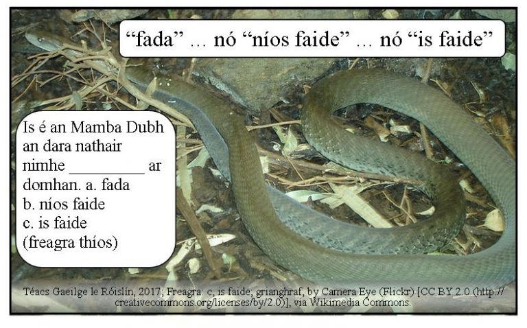 Fada -- Níos Faide -- Is Faide and Fada/Fhada: Forms of the Word 'Fada ...