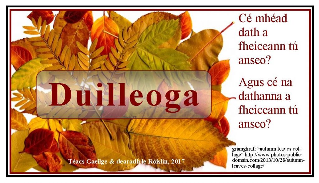 Dathanna Dhuilleoga an Fhómhair: The Colors of the Autumn Leaves (in ...