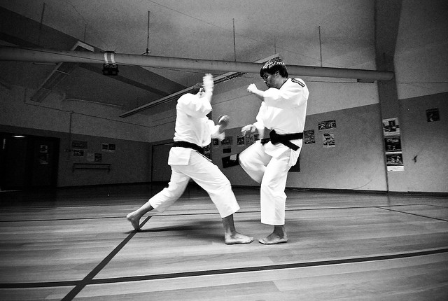 Japanese Martial Art: Shorinji Kempo | Japanese Language Blog
