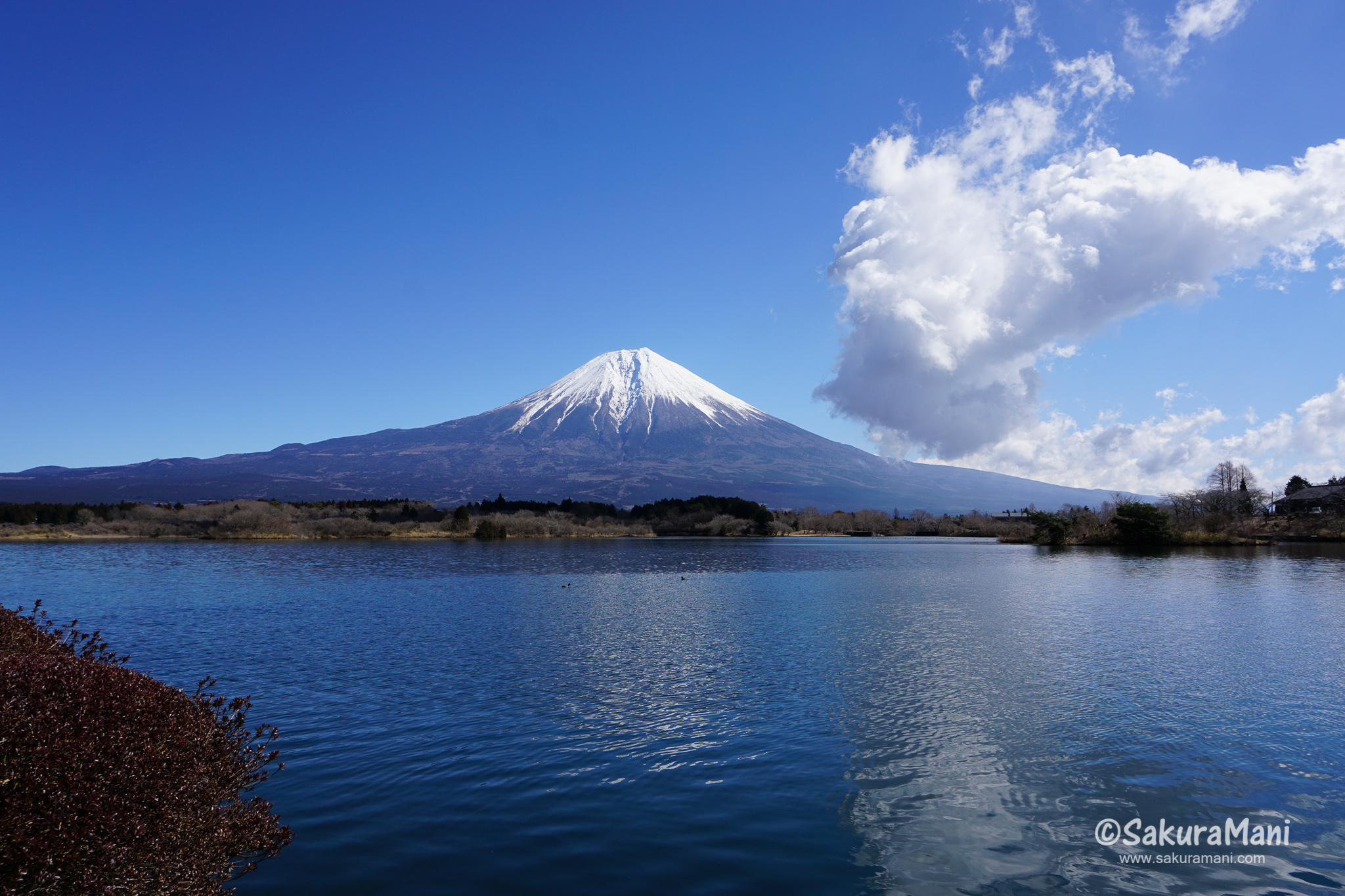 The Four Islands of Japan | Japanese Language Blog