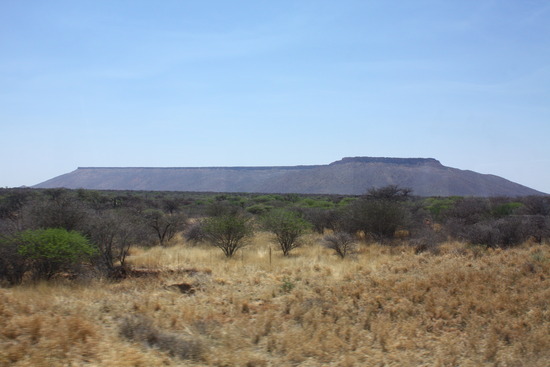 Why We Reach a Plateau in Learning a Language | Transparent Language Blog