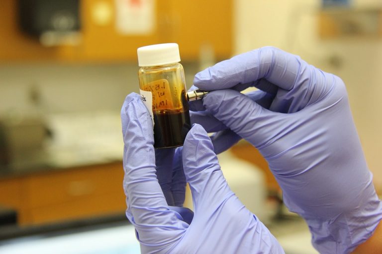 Putting the FL in STEM: the Link Between Foreign Languages and the STEM ...