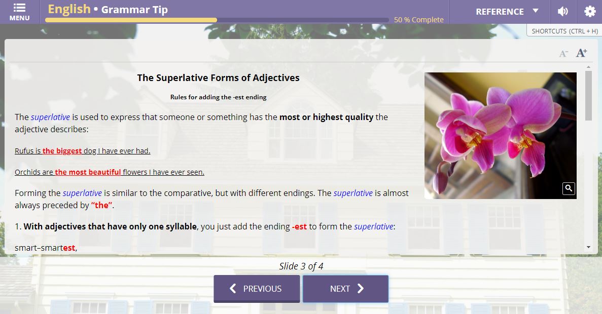 Got Grammar: Can Language Learning Software Teach Grammar ...