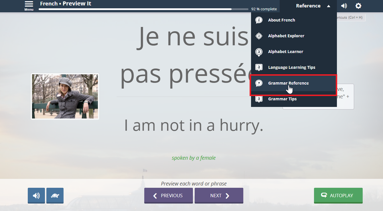 Learning Grammar with Transparent Language Online | Transparent ...