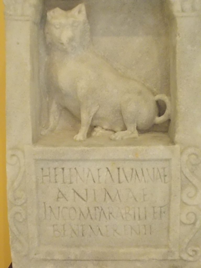 Saying Goodbye to Man’s Best Friend | Latin Language Blog