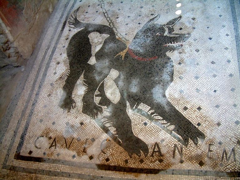 Part I of Ancient Roman Pets: Popular Pets | Latin Language Blog