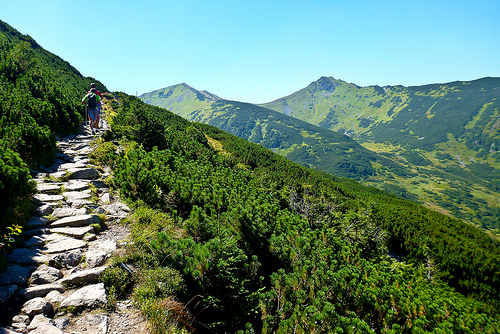 What are the most popular National Parks in Poland? | Polish Language Blog