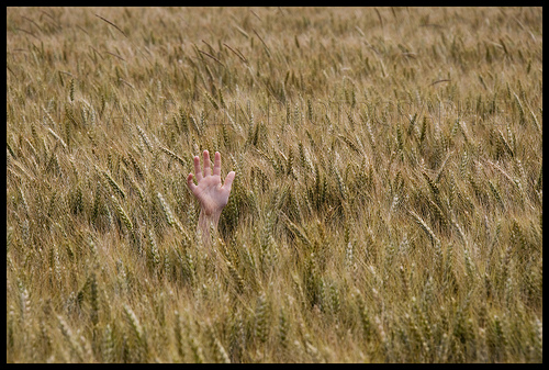 12 great Polish posts for beginners! | Polish Language Blog