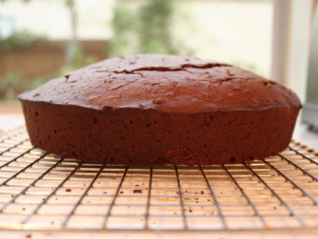 Brazilian Chocolate Cake Recipe | Portuguese Language Blog