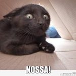 How to use the word “nossa” in Portuguese | Portuguese Language Blog