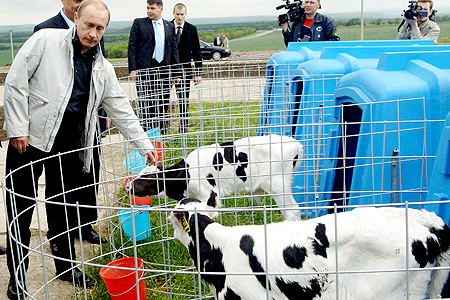 Popular Russian Sayings About Animals | Russian Language Blog