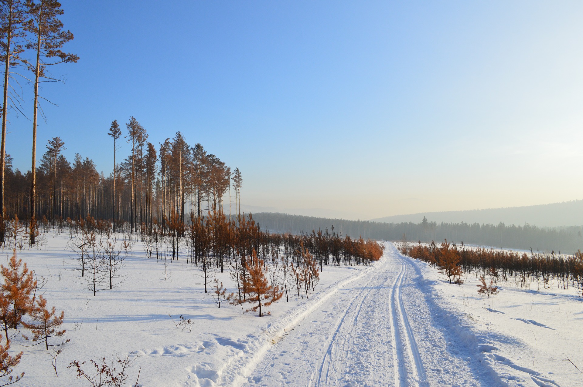 Kolyma: Russian Documentary About Arctic Siberia and Stalin’s ...