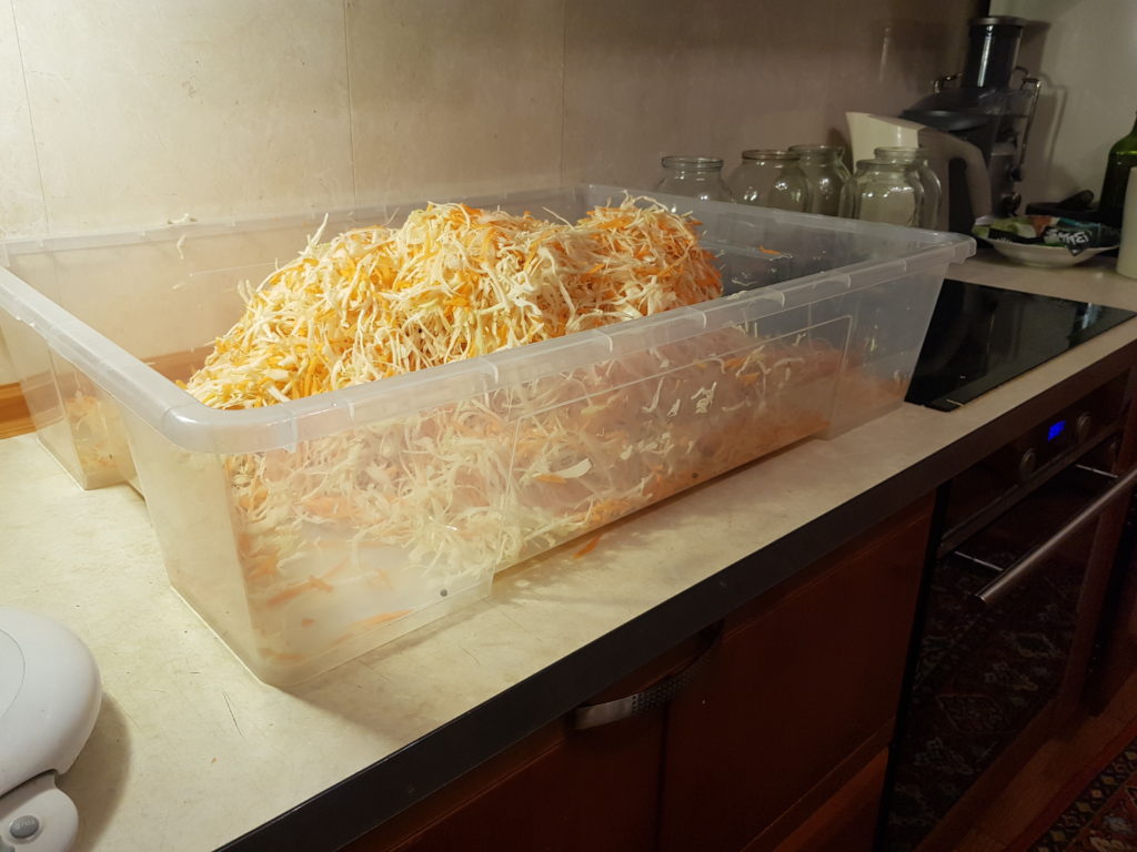 Family recipe for Kvashennaya Kapusta | Russian Language Blog