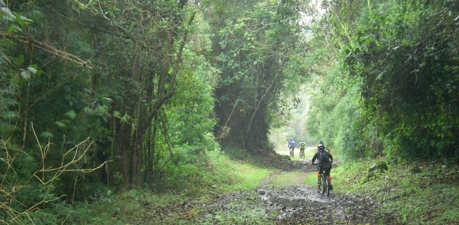 Venezuela’s Natural Beauty: Región Capital | Spanish Language Blog