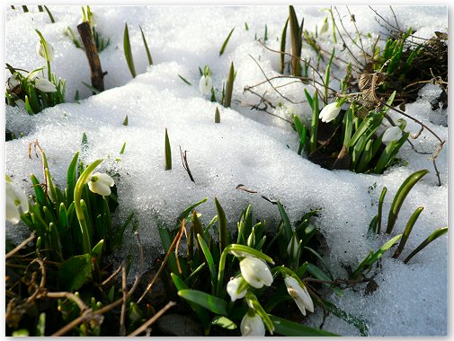 Vårprat (Spring talk in Swedish) | Swedish Language Blog