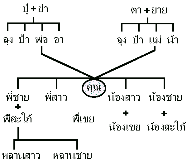 Vocabulary for the Thai Family | Thai Language Blog
